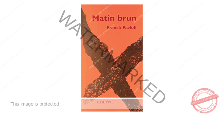 Franck Pavloff, Matin Brun : résumé, personnages et analyse