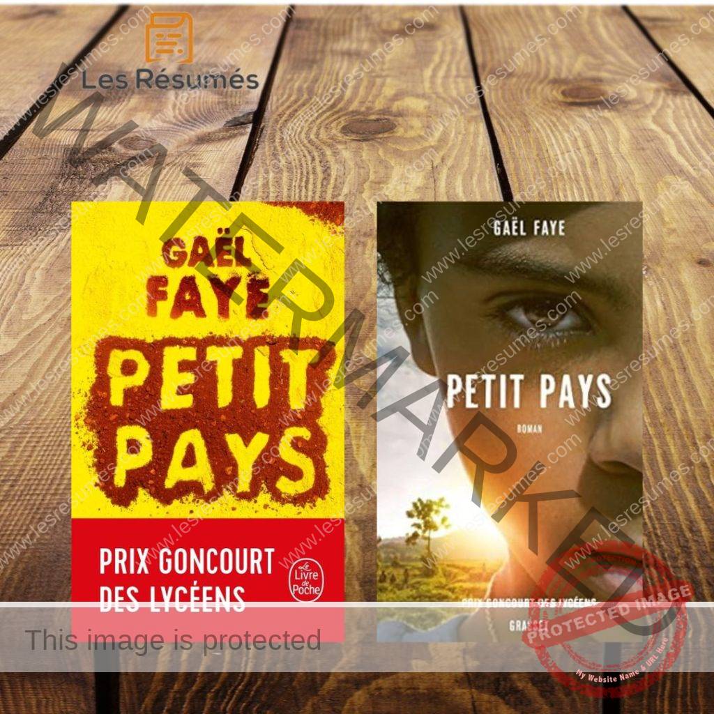 Résumé de Petit Pays par chapitre | Gaël Faye | Les Résumés