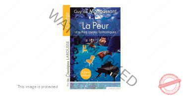 Résumé de La Peur de Maupassant (Contes de la Bécasse)