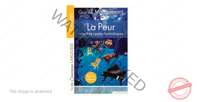 Résumé de La Peur de Maupassant (Contes de la Bécasse)