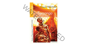 Résumé de Tamango de Prosper Mérimée
